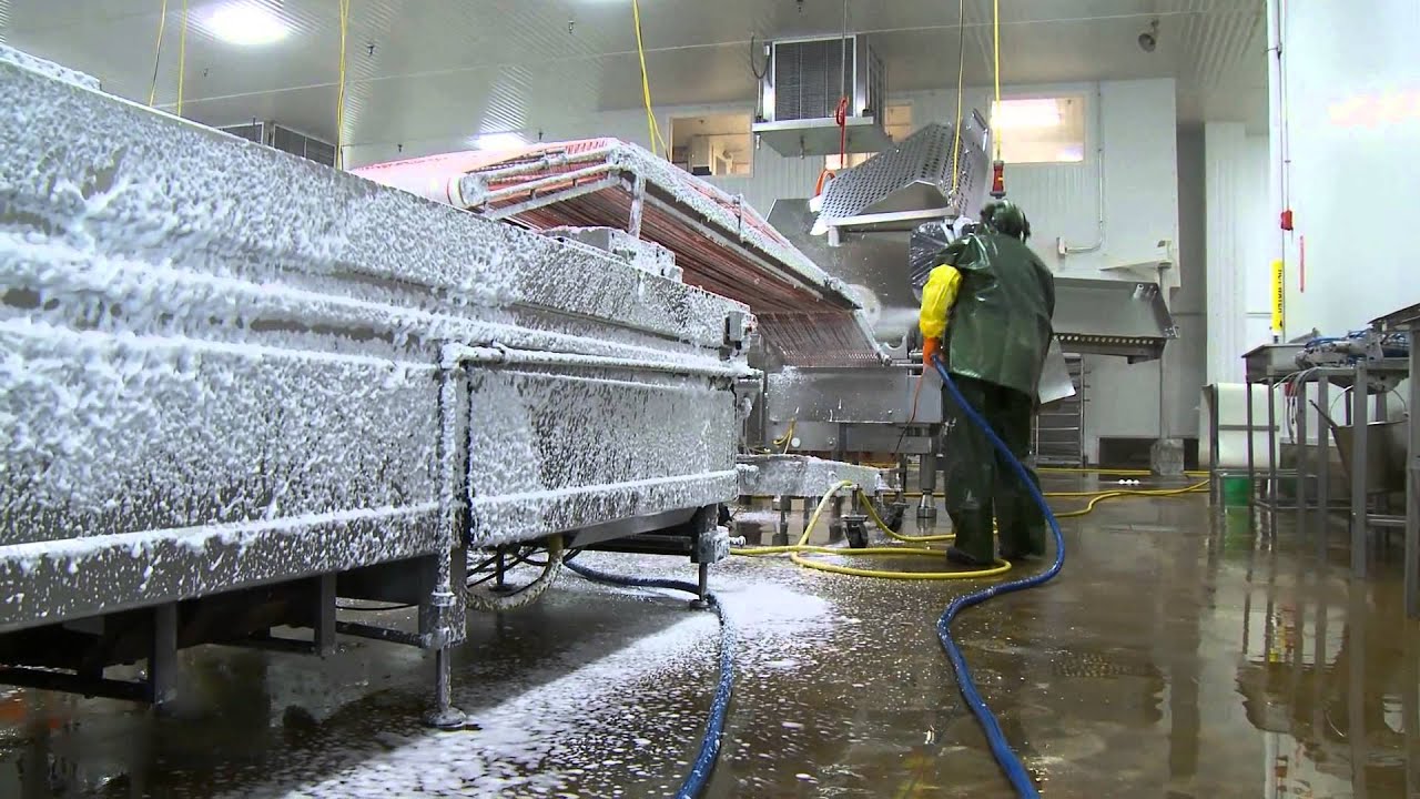 Best Practices for Sanitation in Meat Processing and Poultry Plants ... Best Practices for Sanitation in Meat Processing and Poultry Plants ...